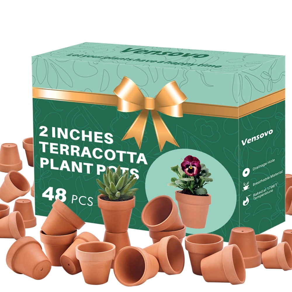 3 Inch Terracotta Pots