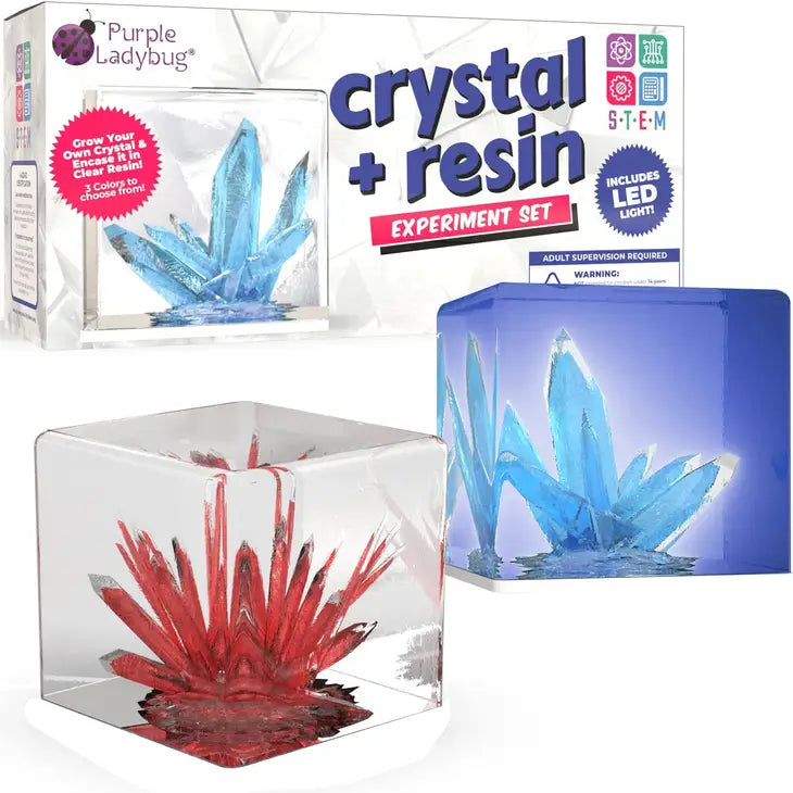 Crystal Growing Kit with Resin casing and an LED light! – Menucha ...