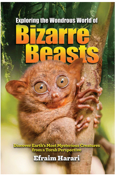Exploring the Wondrous World of Bizarre Beasts – Menucha Classroom ...