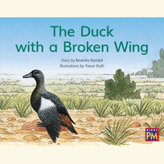 The Duck with a Broken Wing – Menucha Classroom Solutions